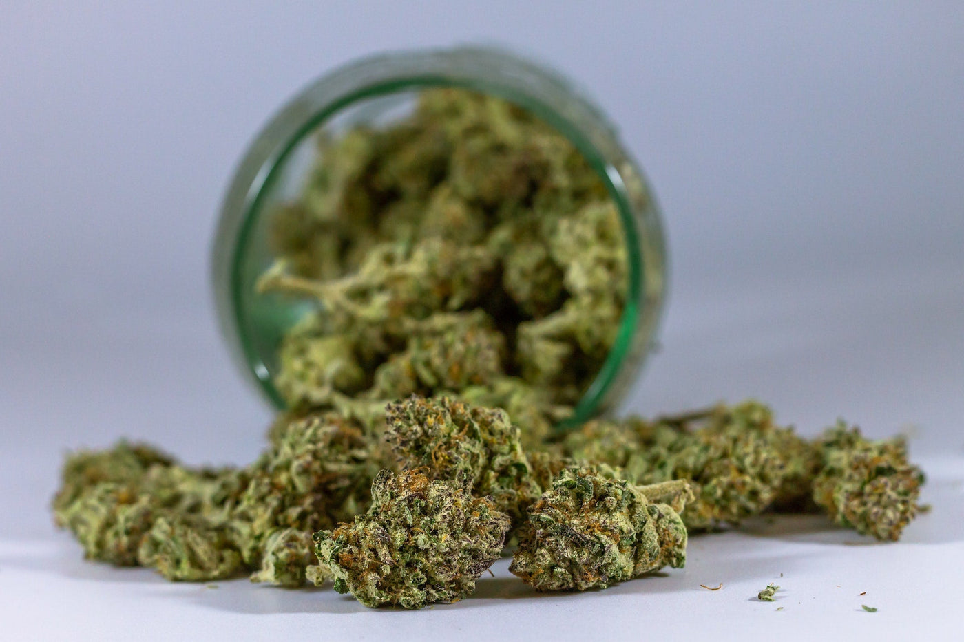 Best Indica Strains | Non-Psychoactive | Rogue Origin