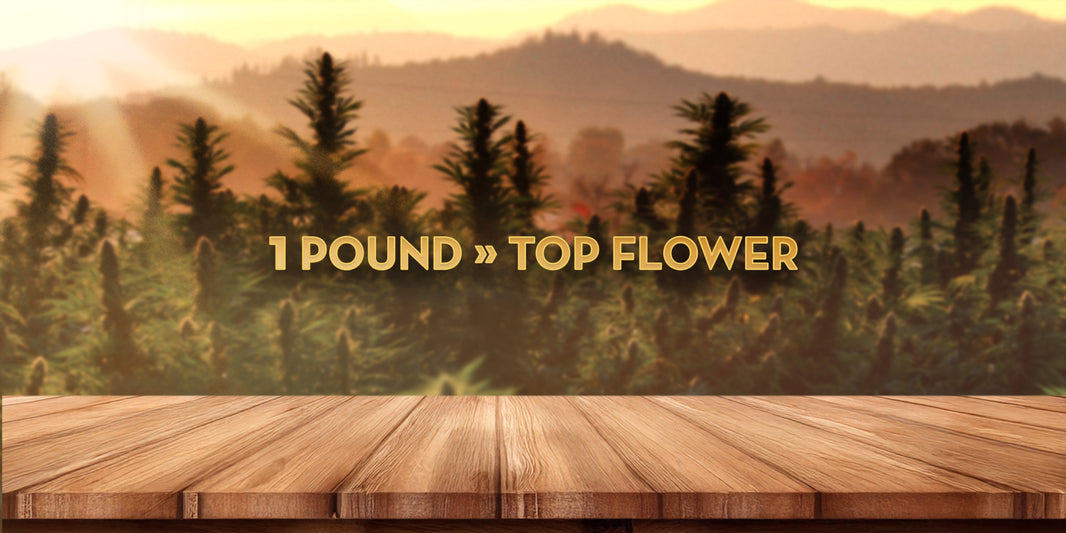 1 lb CBD Flower | Bulk Hand-Trimmed Hemp | Rogue Origin