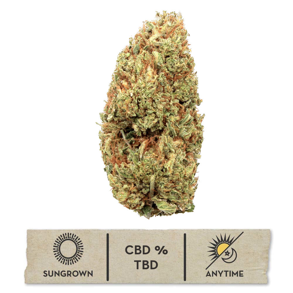 CBD Hemp Flower for Sale | USDA Certified | Rogue Origin